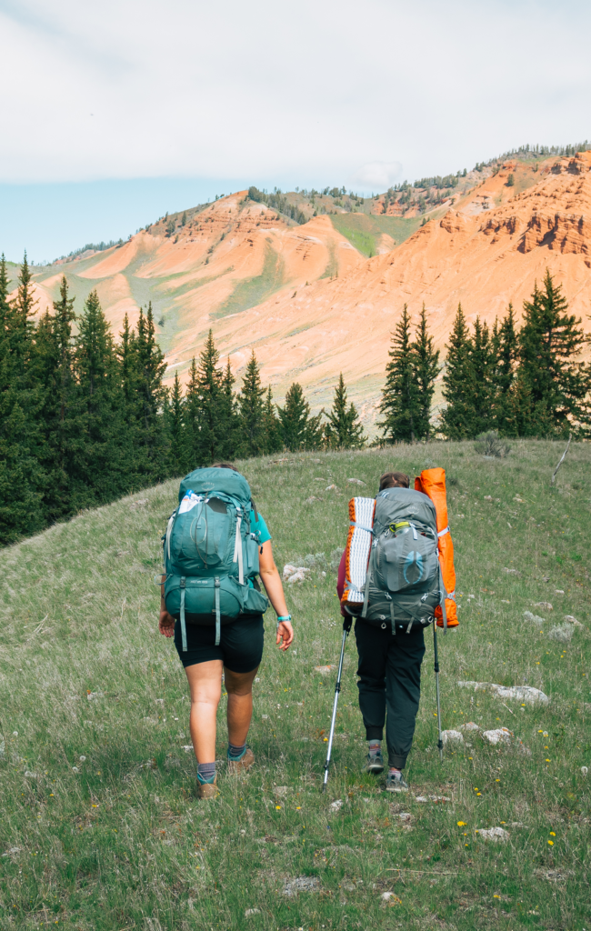 10 Lessons We Can Learn from Nature - Wilderness Adventures