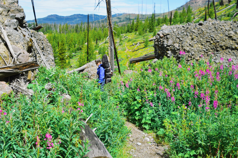 The Thorofare | Wilderness Adventures